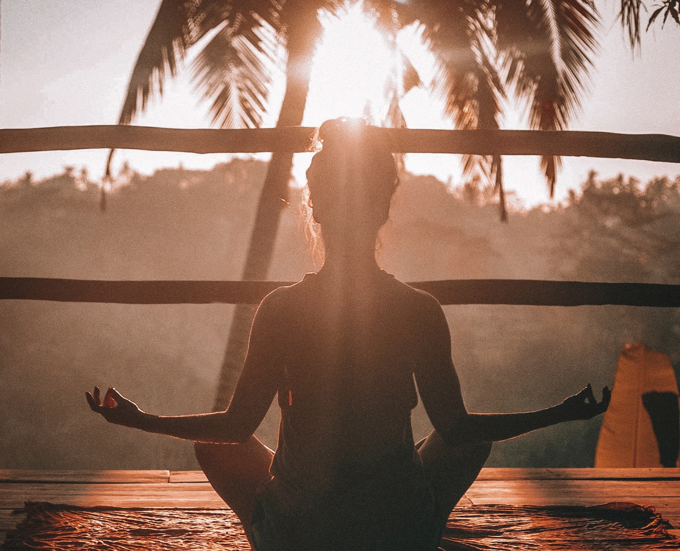 The 3 Parts of the Human Spirit - Rudolf Steiner House