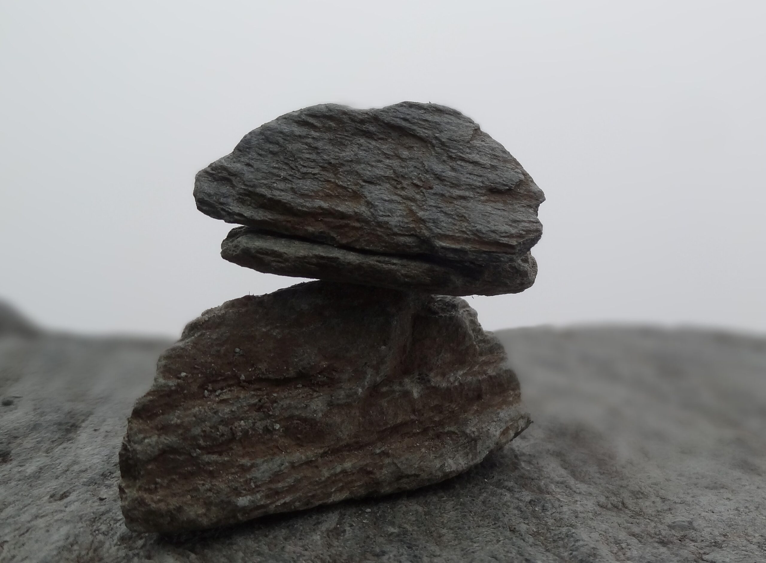 The Two Foundation Stones (Zoom) - Rudolf Steiner House